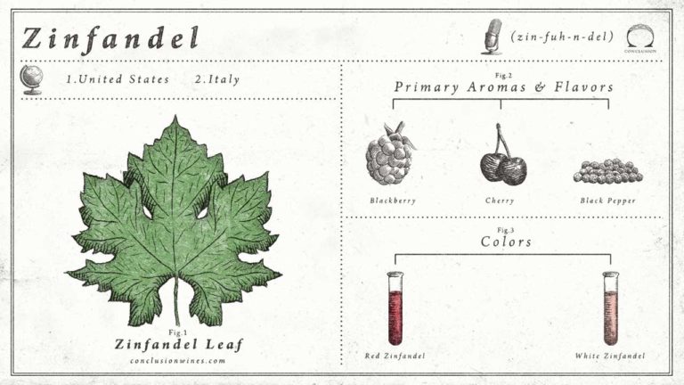 A Quick Guide to Zinfandel – Conclusion Wines