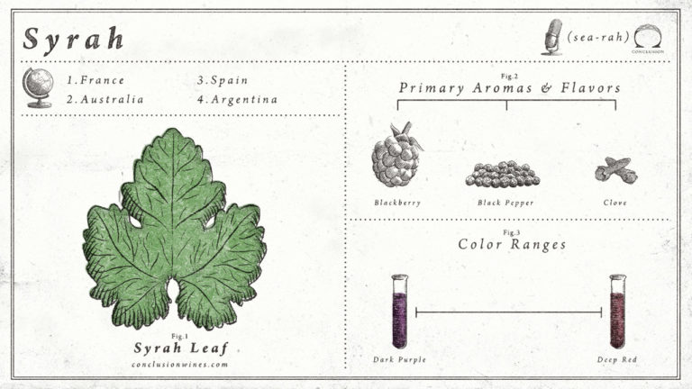 A Quick Guide to Syrah – Conclusion Wines