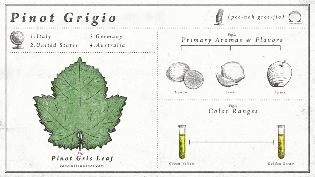 A Quick Guide to Pinot Grigio – Conclusion Wines