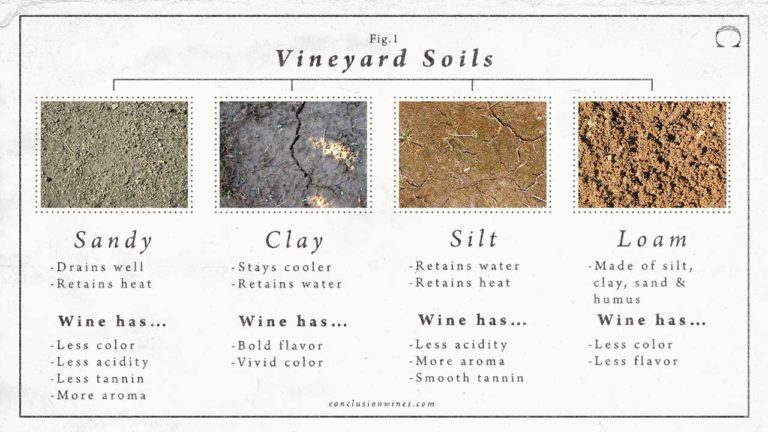 How Wine is Made: A Crash Course – Conclusion Wines
